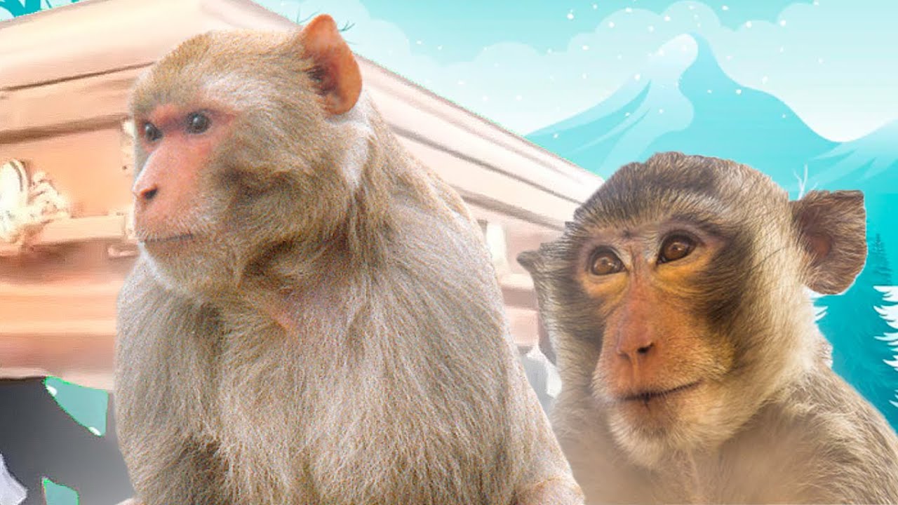 The Snowman is dancing-Baby Shark Song Cover - YouTube