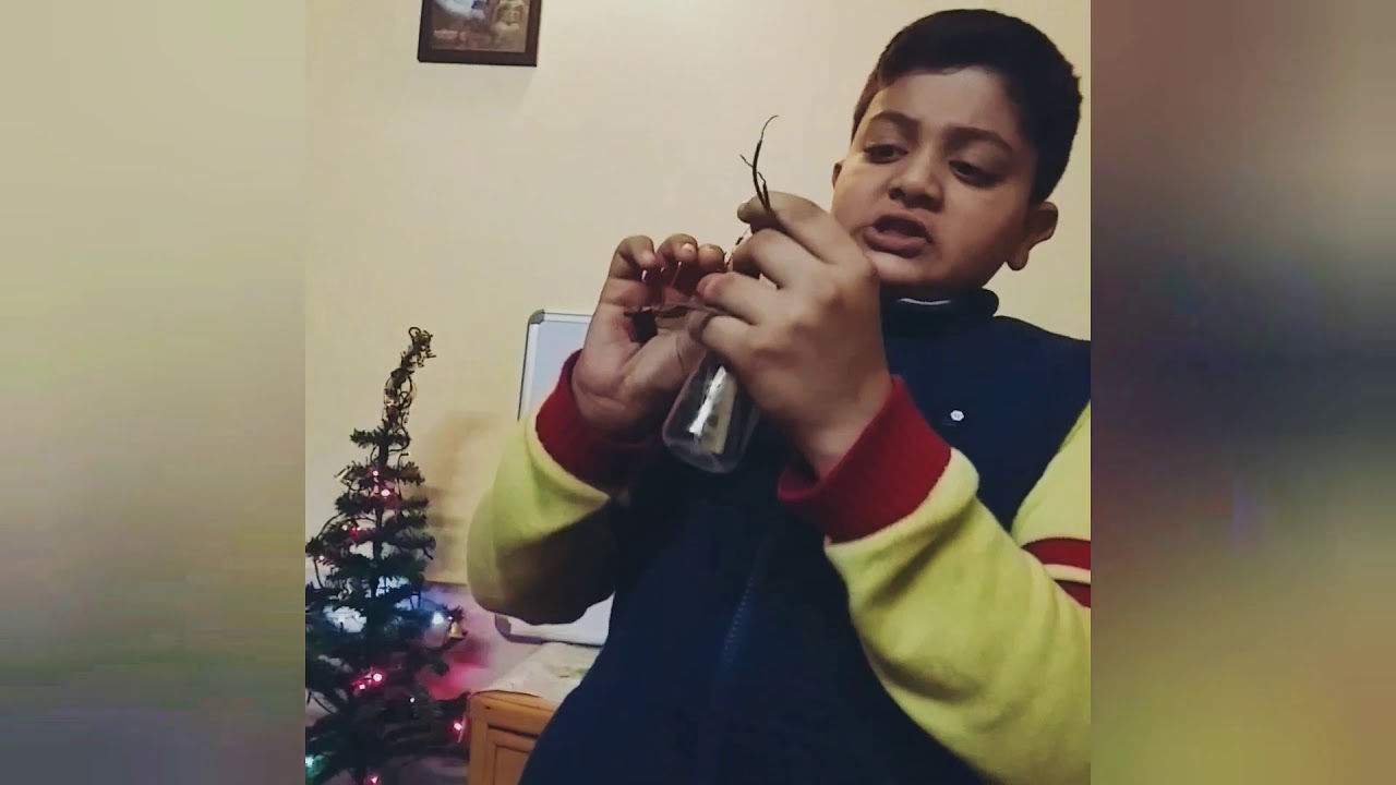 How to make Easy and simple torch at home - YouTube