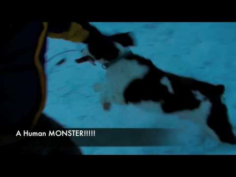 Diana's bath #2! Enjoy Jake's excitement!