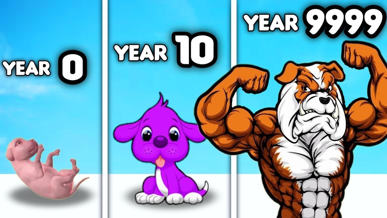 Birth To Death in Dog Life Simulator - YouTube