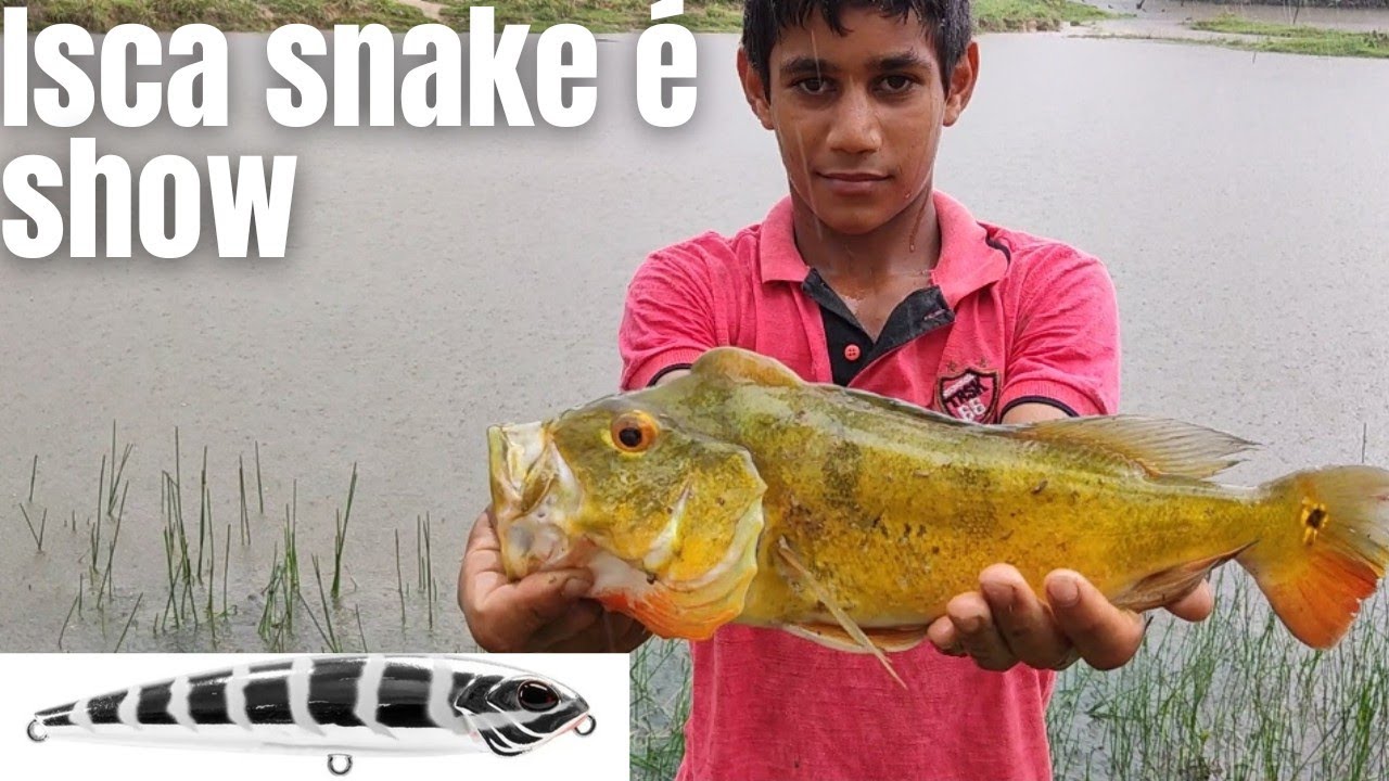 Isca artificial snake essa não pode faltar na sua caixa - YouTube