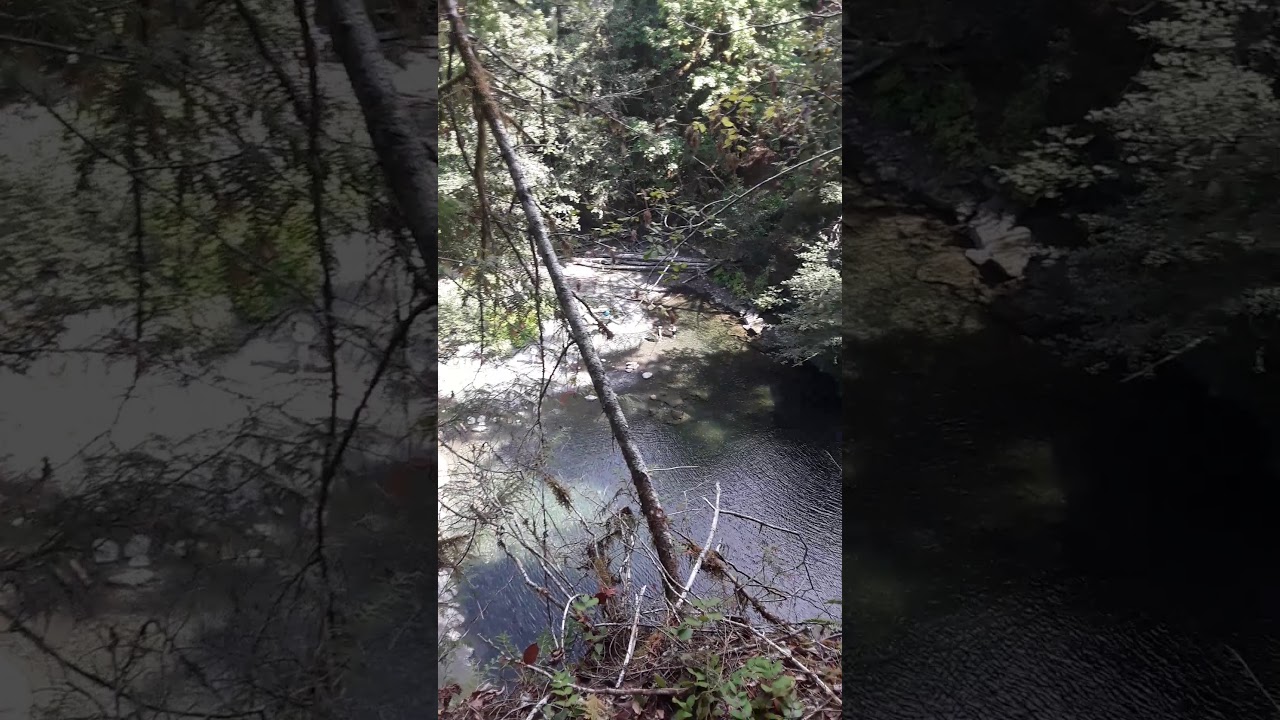 Trent Falls 2019 - YouTube