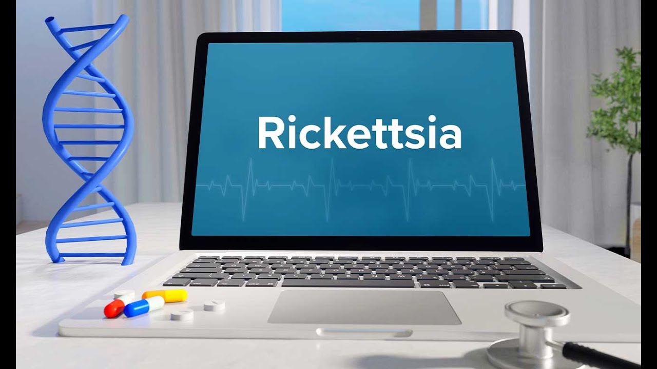 Rickettsia: la enfermedad que tiene en alerta al norte de México - UNAM ...