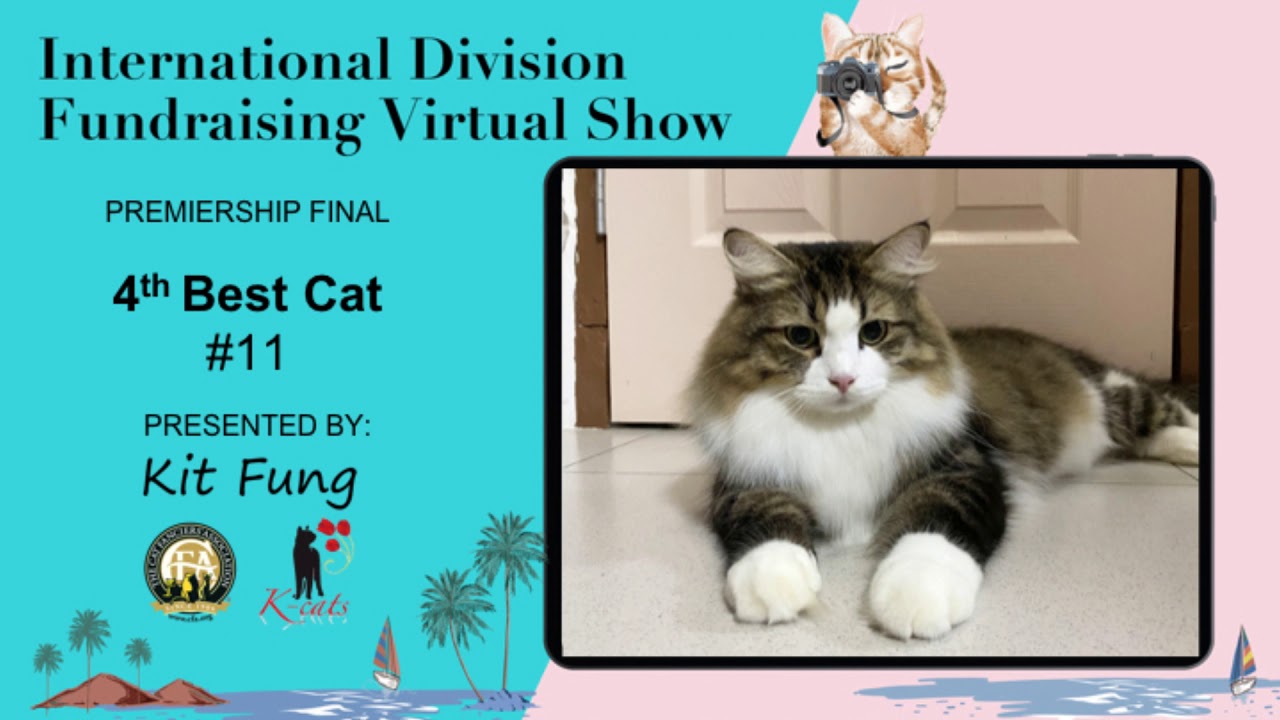 20200620 CFA ID Virtual Show Award Presentation by Kit Fung - #3 ...