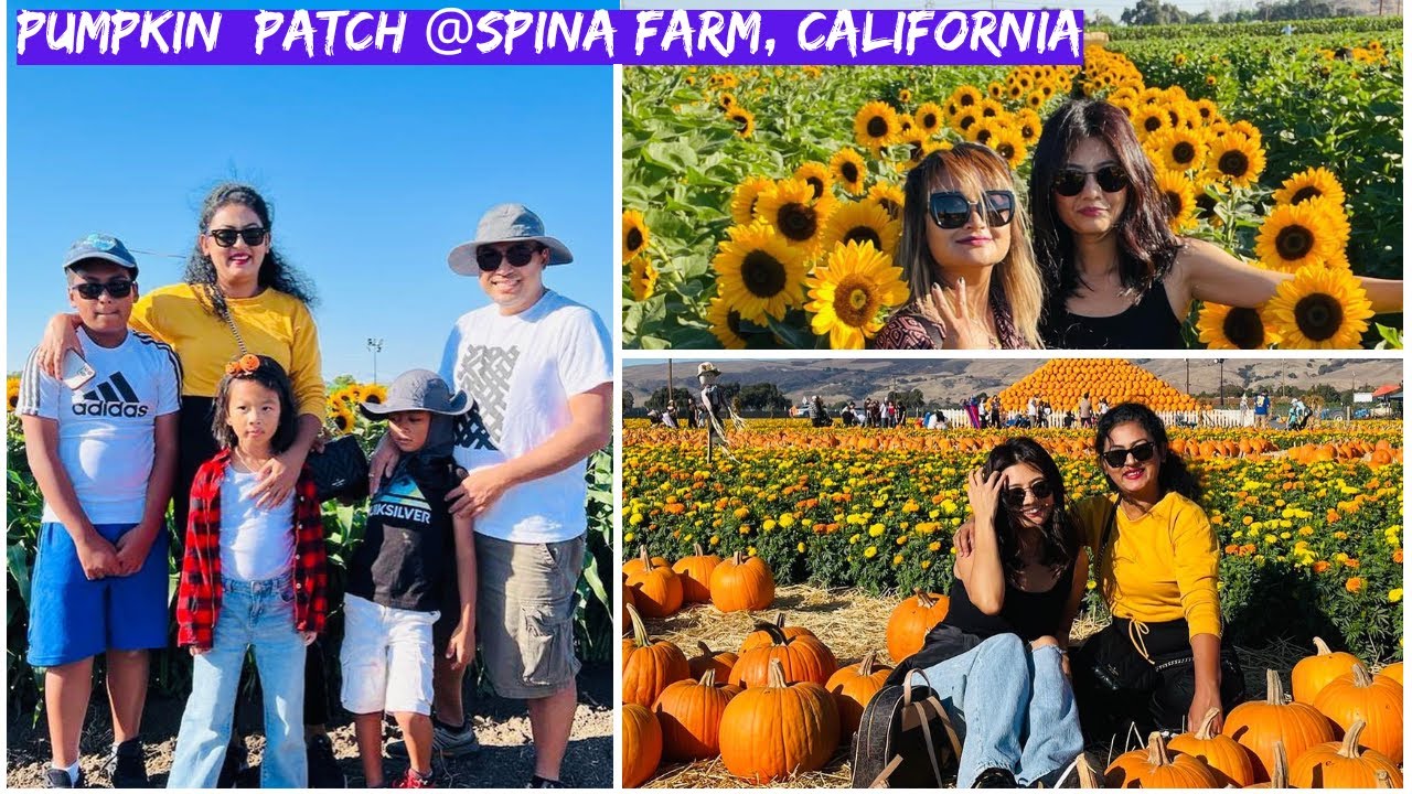 Halloween ,Pumpkin Patch @Spina Farm, San Jose, California @NeenaMapao ...