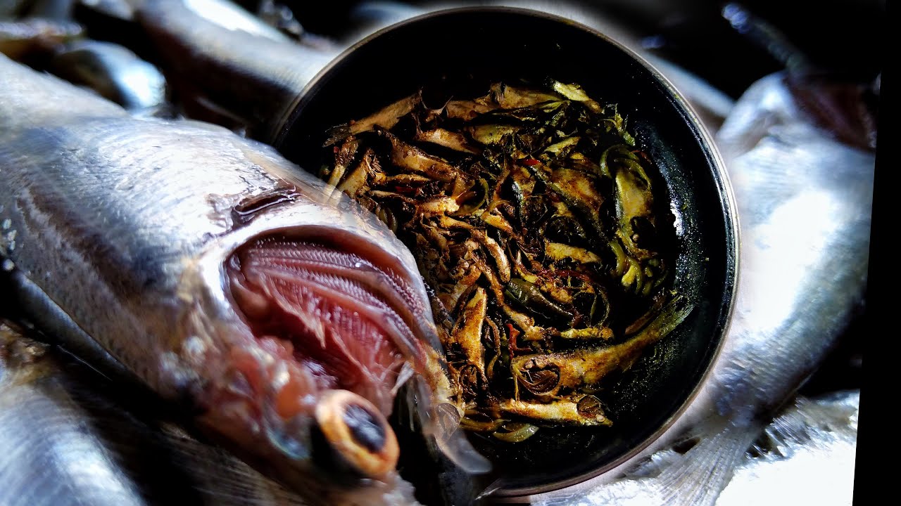tiny carp fish recipe/খয়রা মাছের ঝাল - YouTube