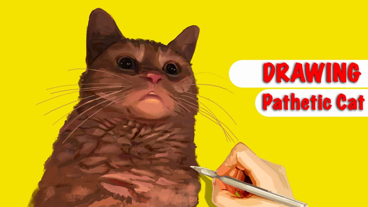 How to DRAW Pathetic Cat Meme - YouTube