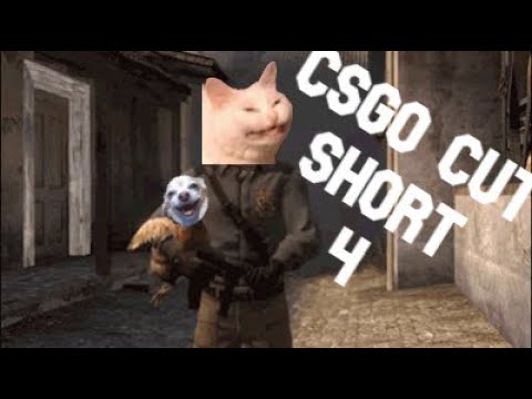 CSGO Cut Short 4 With Party Packs - YouTube