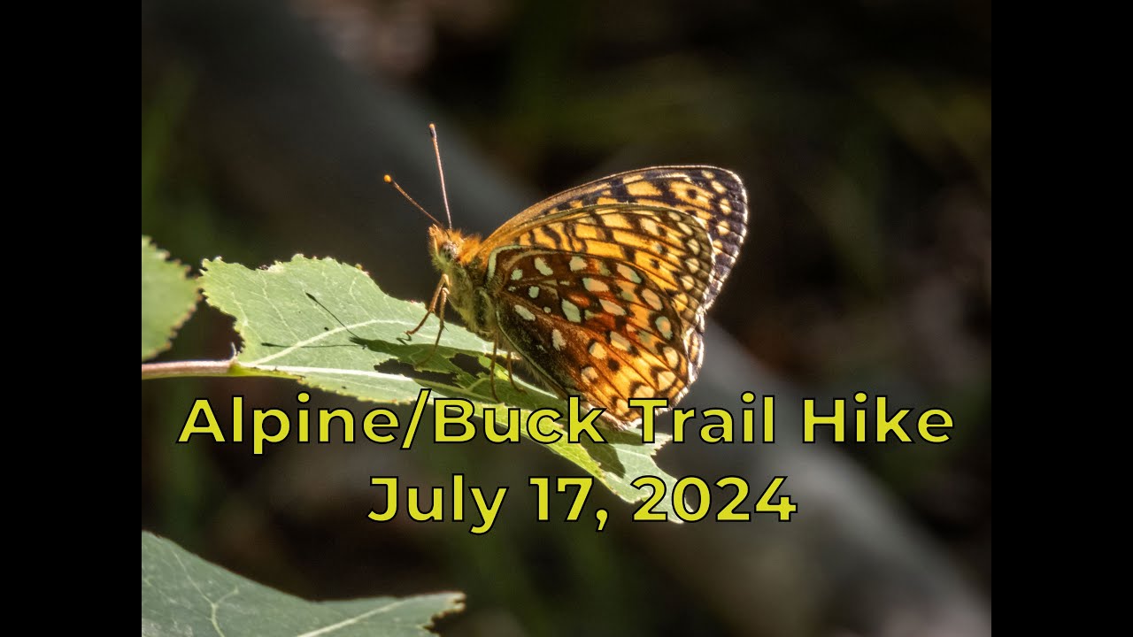 Alpine/Buck Trail Hike July 17, 2024 - YouTube