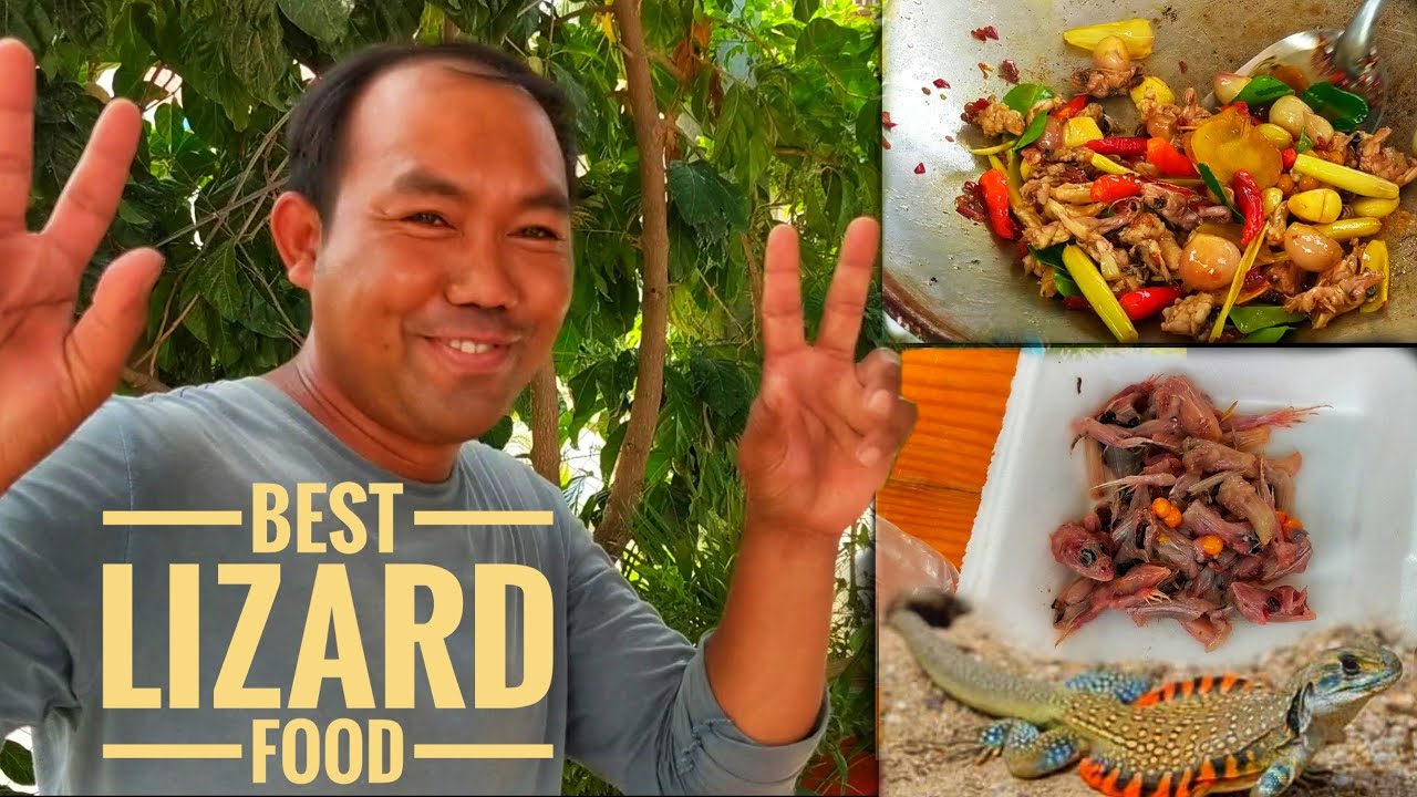 Best Lizard Food | ឆាក្តៅសត្វជៀស - YouTube