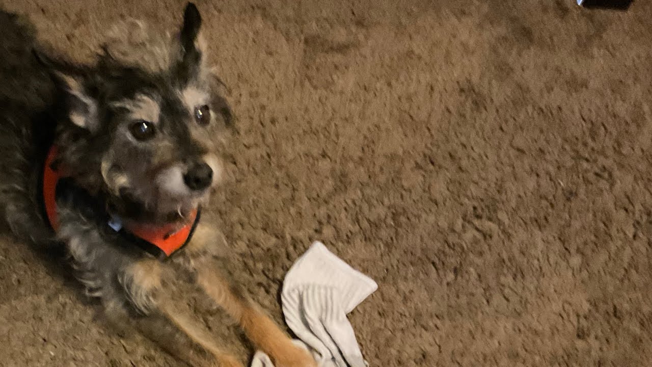 Breakbot-Baby I’m Yours meme - YouTube