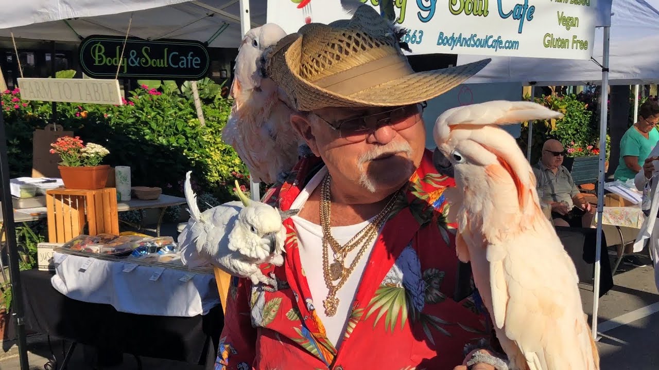 Cockatoo Man at Third Street South Farmer's Market - Old Naples, FL ...