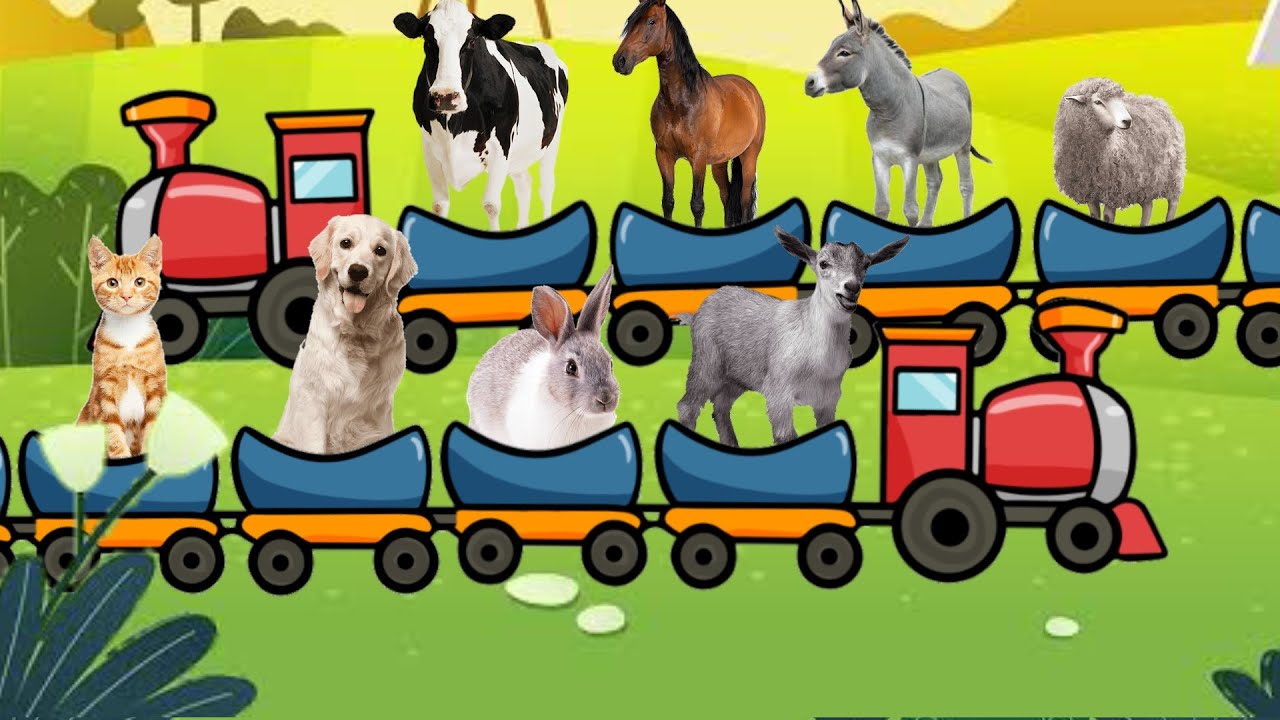 Farm animals train / قطار حيوانات المزرعة - YouTube