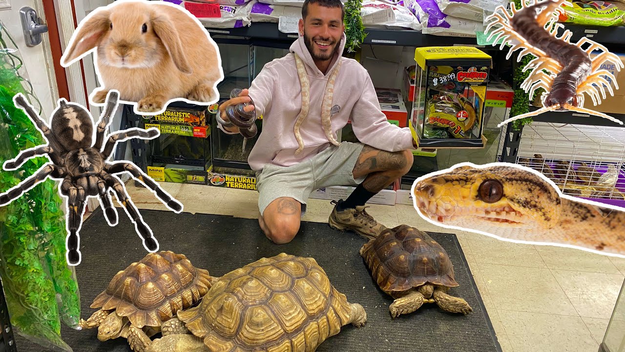 THE SMALLEST & CRAZIEST PET SHOP EVER! SO MANY DIFFERENT PETS! - YouTube