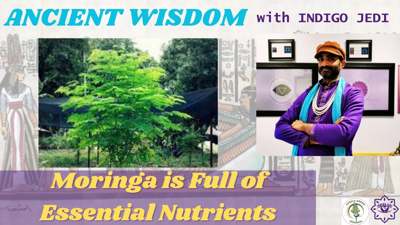 Moringa is full of important macro- and micro-nutrients. The best ...