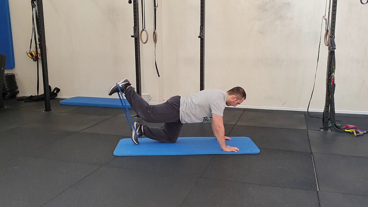 DONKEY KICK CON LOOP BAND - YouTube