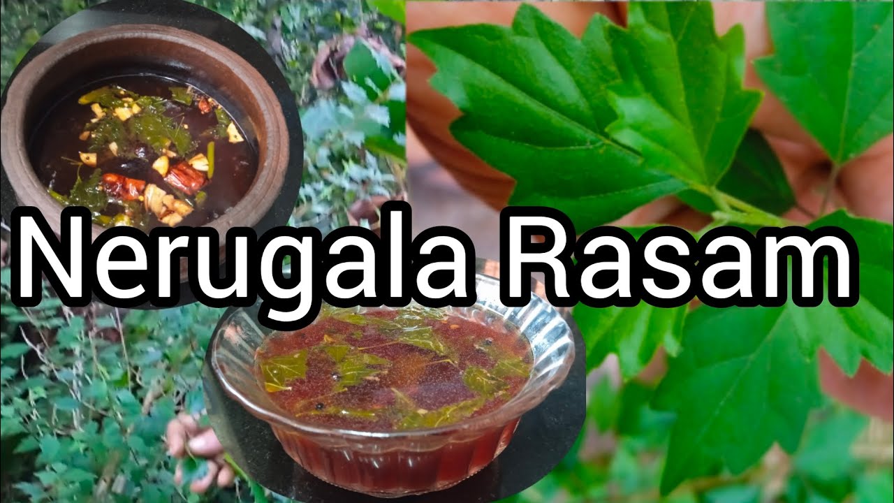 Nerugala Rasam/ ನೆರುಗಲ ಸಾರು/ rasam recipe/ kokum rasam / soup recipe ...