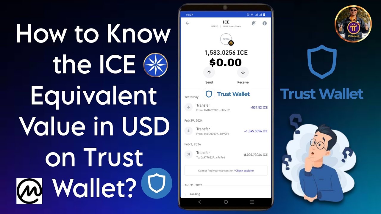 How to Know the ICE Equivalent Value in USD on Trust Wallet via ...