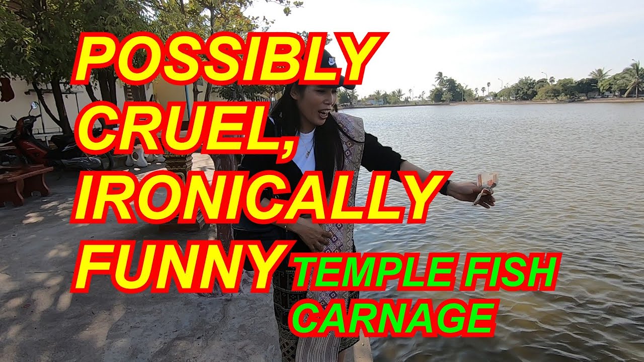 The poor little fish went to meet their maker at the luckiest temple in ...