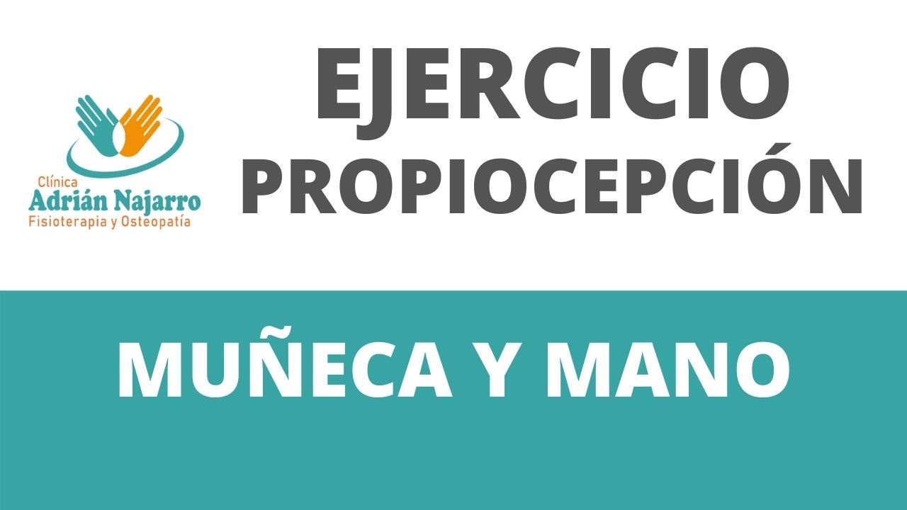 Estabilidad y Propiocepción de MUÑECA Y MANO - YouTube