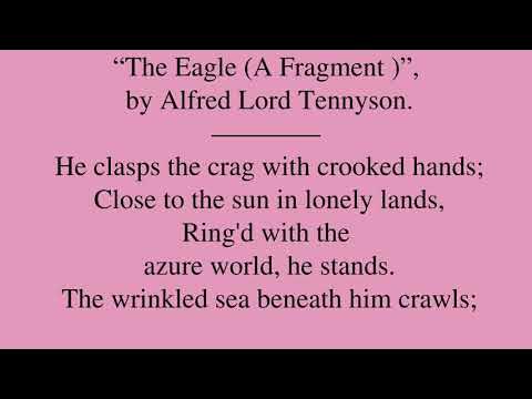 Poem by Alfred Lord Tennyson: “The Eagle A Fragment ” - YouTube