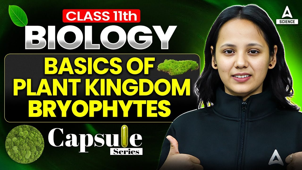 Class 11 Biology | Basics of Plant Kingdom Bryophytes with Tips and ...
