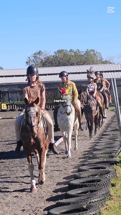 I rlly do capture everything lol🤣#horses#photos#ponycamp - YouTube