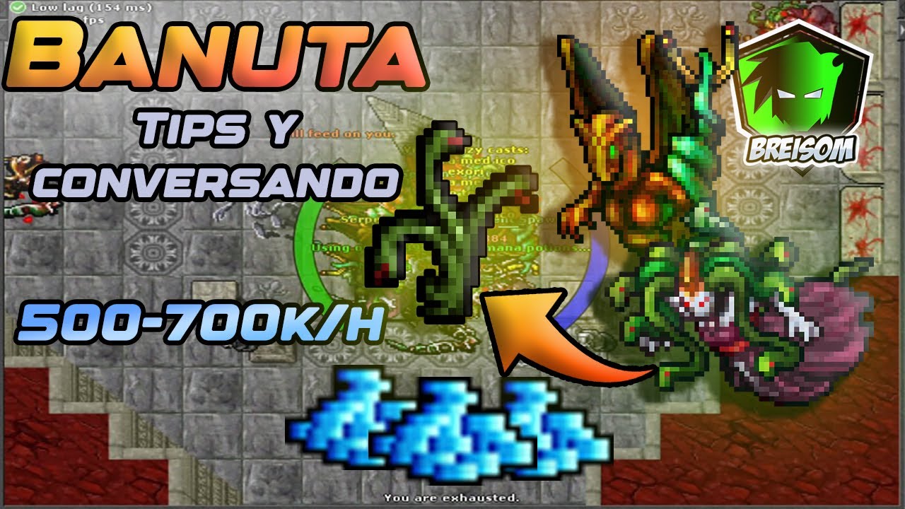 Banuta es infravalorado! PROFIT Y EXP EN 1 SOLO LUGAR | Tibia Hunt de ...