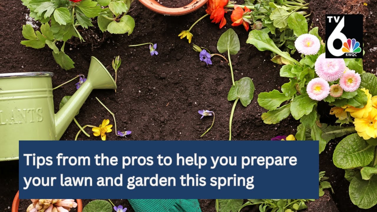 Tips from the pros to help you prepare your lawn and garden this spring ...