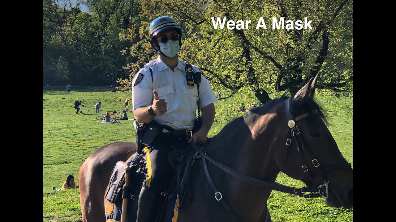 "Wear a Mask" Robin Greenstein and Bev Grant - YouTube