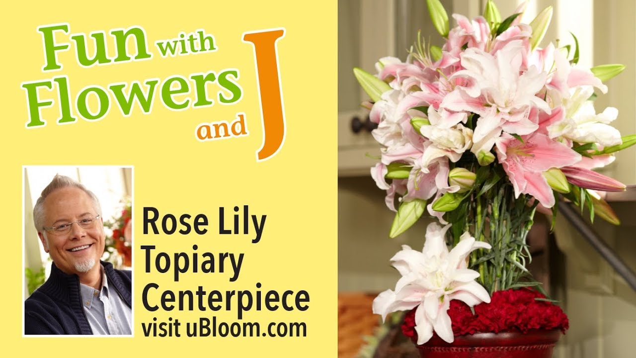 41 Parts Of A Flower Lesson Plan 4Th Grade KristofTyrie 41 Parts Of A Flower Lesson Plan 4Th Grade KristofTyrie