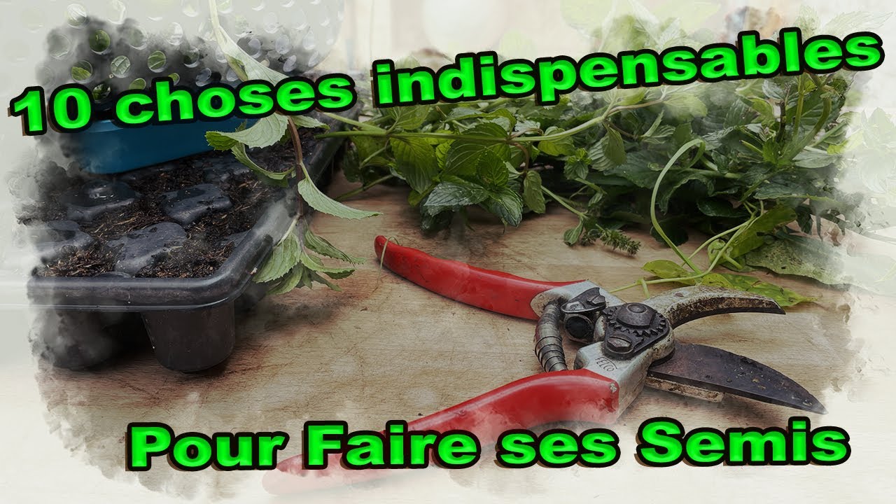 10 Choses Indispensables pour faire ses semis ? les matériaux , des ...