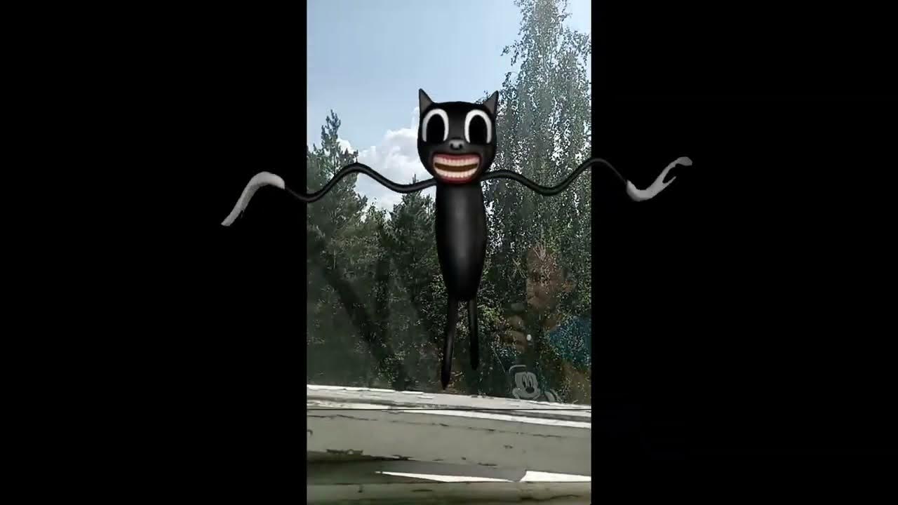 картун кэт у меня дома - YouTube