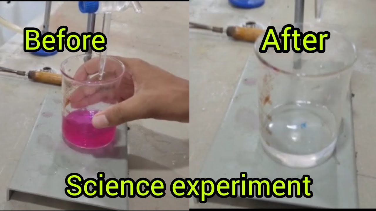Science experiment show#shortvideo#Mybrotherinlow#Adina RT vlog - YouTube