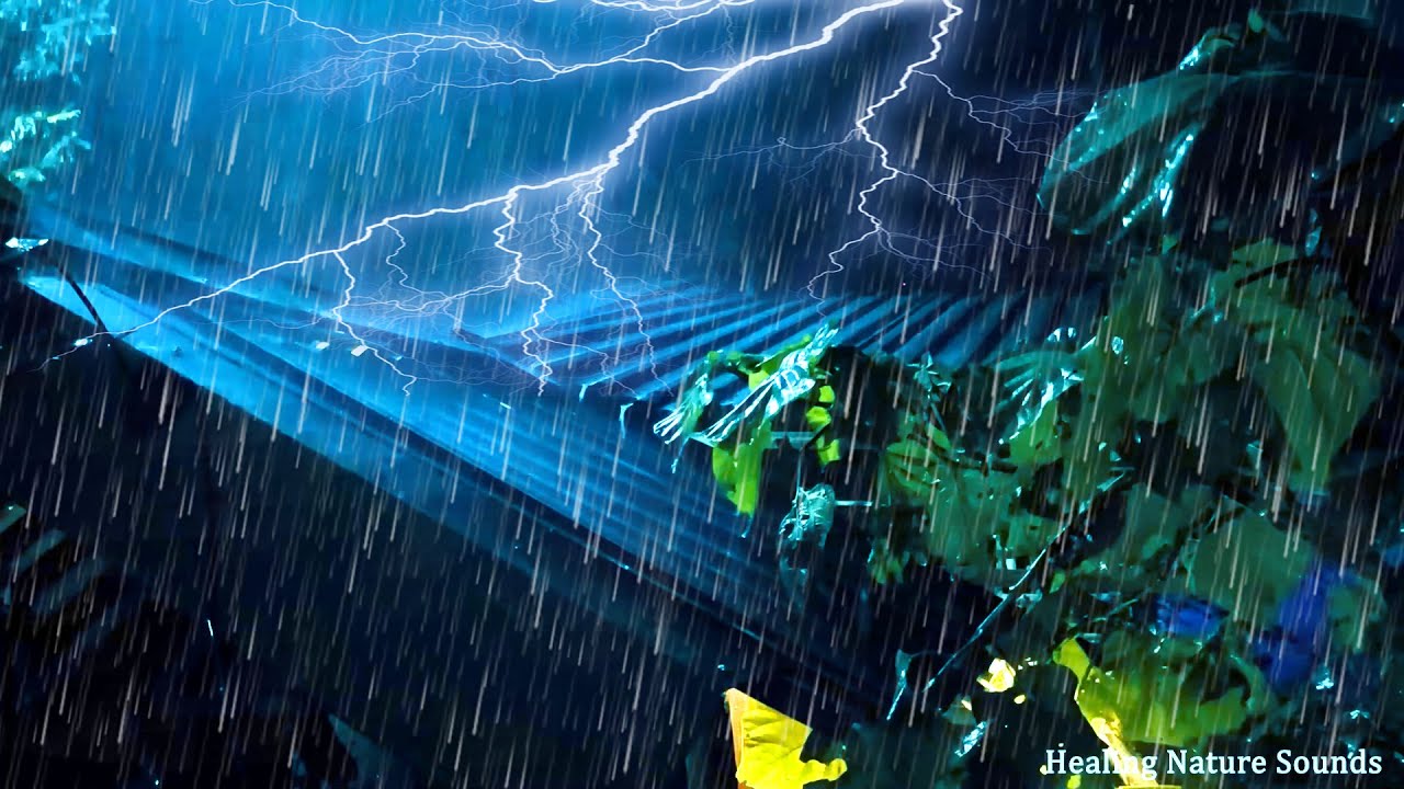 Terrible Stormy Night to Sleep Instantly | Powerful Rainstorm on Tin ...