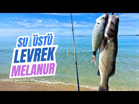 YENİ MERA, AYNI SONUÇ !.. Levreği Yine Buldum | Kıyıdan Wtd Su Üstü Levrek Avı | Spin Lrf Balık Avı