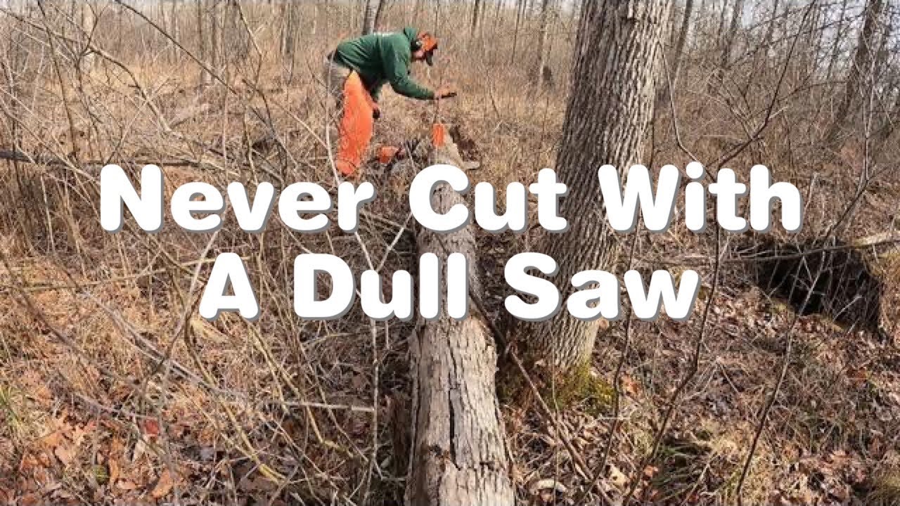 Never cut with a dull saw - YouTube