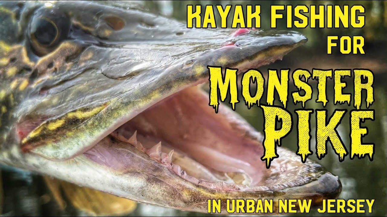 Kayak Fishing for Monster Pike in urban New Jersey - YouTube