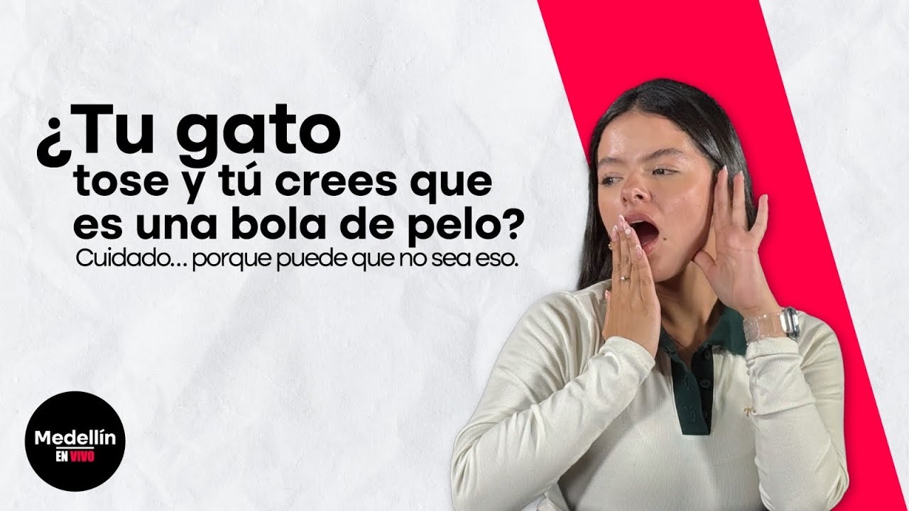 ¿TU GATO TOSE Y CREES QUE ES UNA BOLA DE PELO? - YouTube