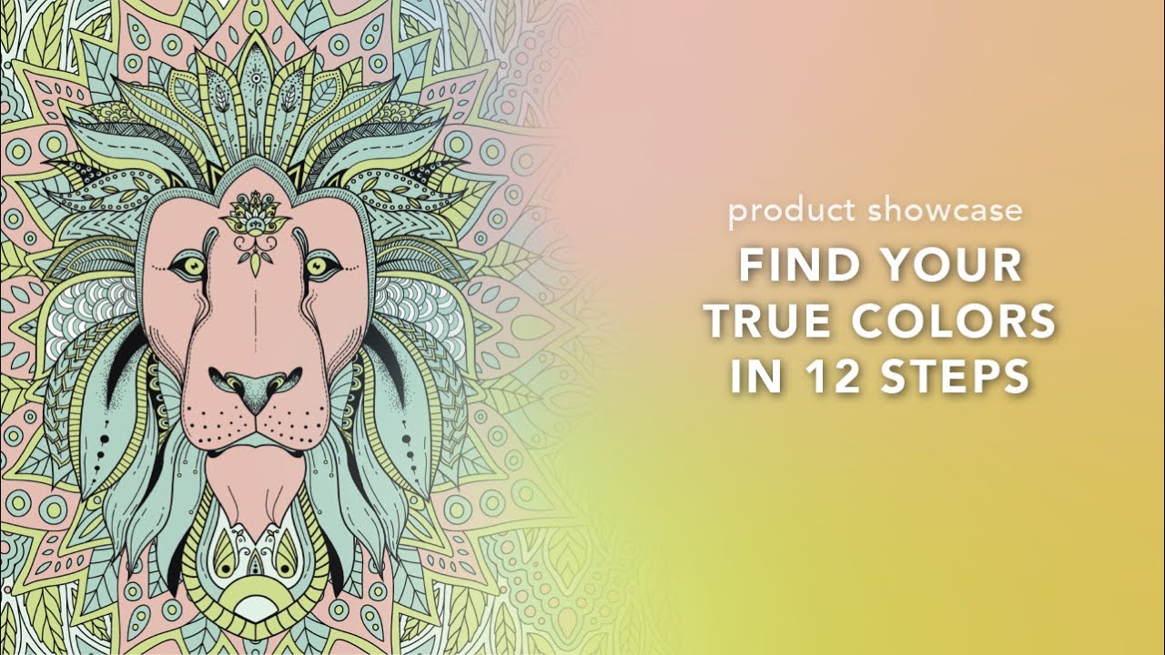 Product Showcase: Find Your True Colors In 12 Steps - YouTube