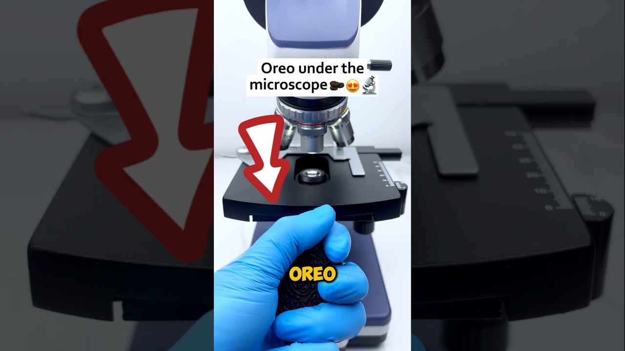 Oreo under the microscope - YouTube