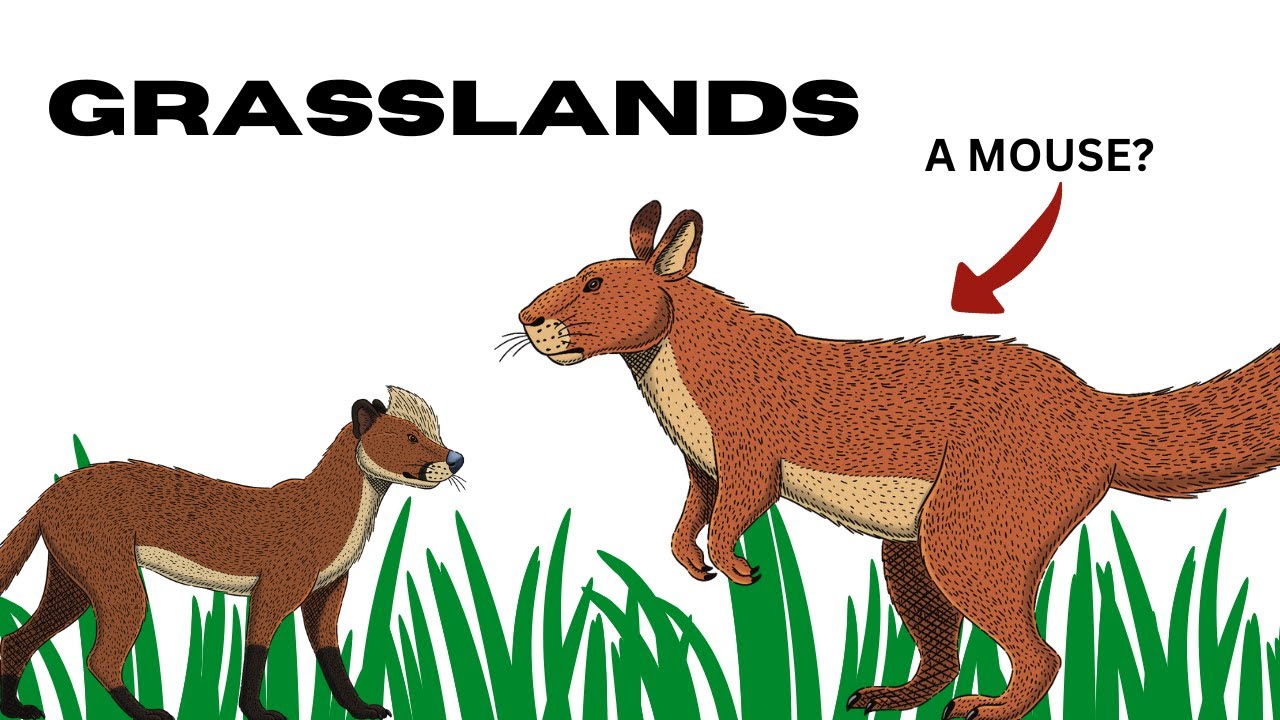 GRASSLANDS ON A PLANET OF WEASELS? - Project Mustelon Ep. 3 ...