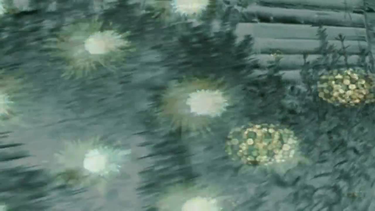 Penny Riddle Video - "I Would Keep You" - YouTube
