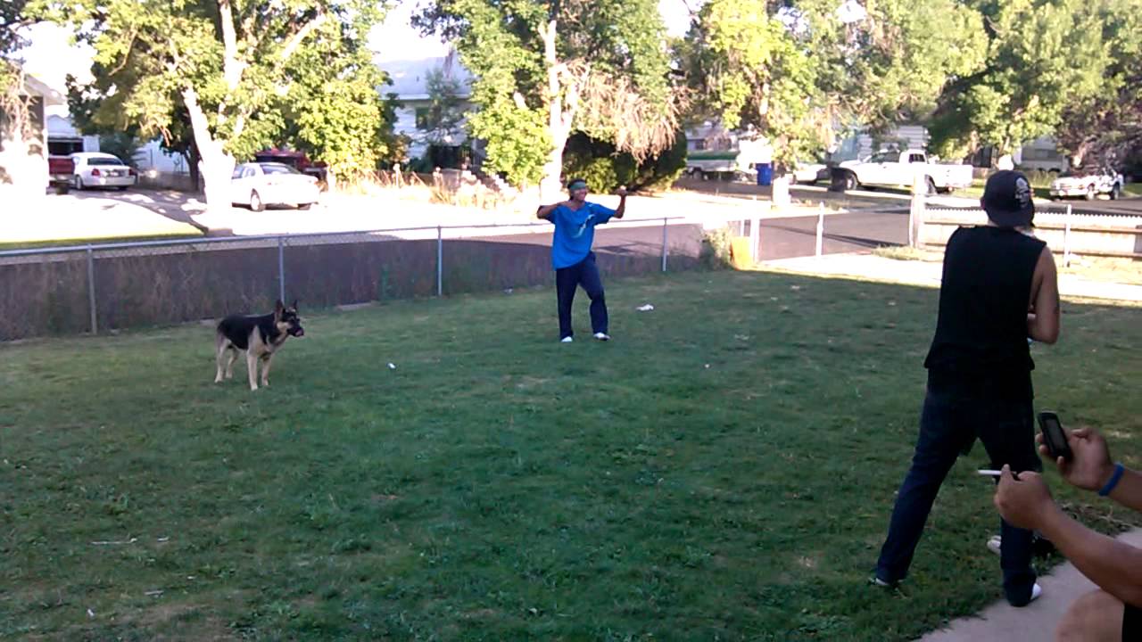 Friends fighting mma style - YouTube