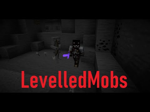 Minecraft LevelledMobs 1.15.2 Plugin - Quick Info - YouTube