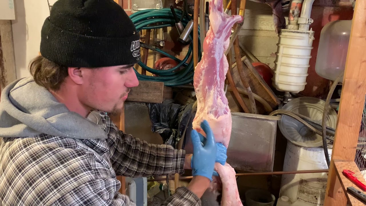 Fur Handling Series: Possum Part 1: Skinning - YouTube