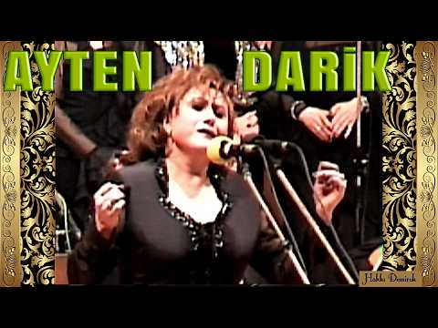 HÜZÜN ZAMAN ZAMAN DELİ DALGALARLA GELİR  - AYTEN DARİK