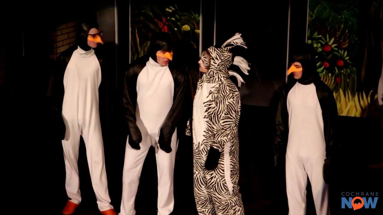 Madagascar: A Musical Adventure Jr. clips - YouTube