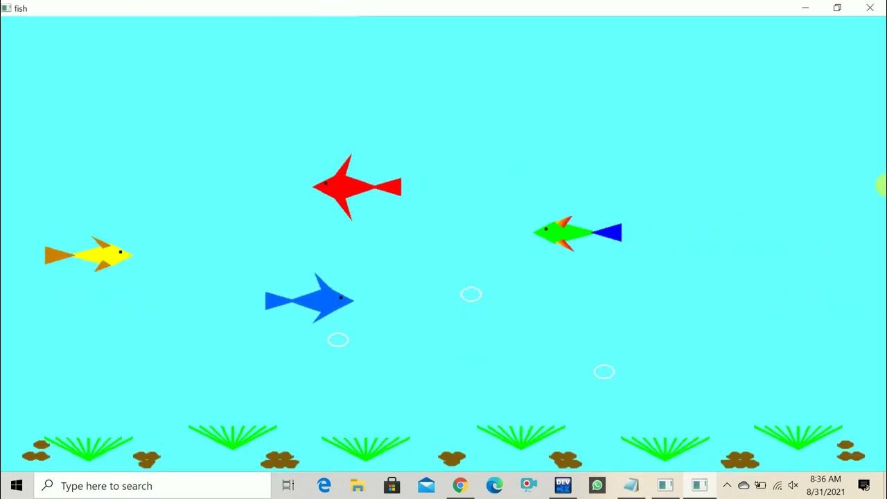 Fish Aquarium Open_GL / Computer Graphics Project With Source Code ...