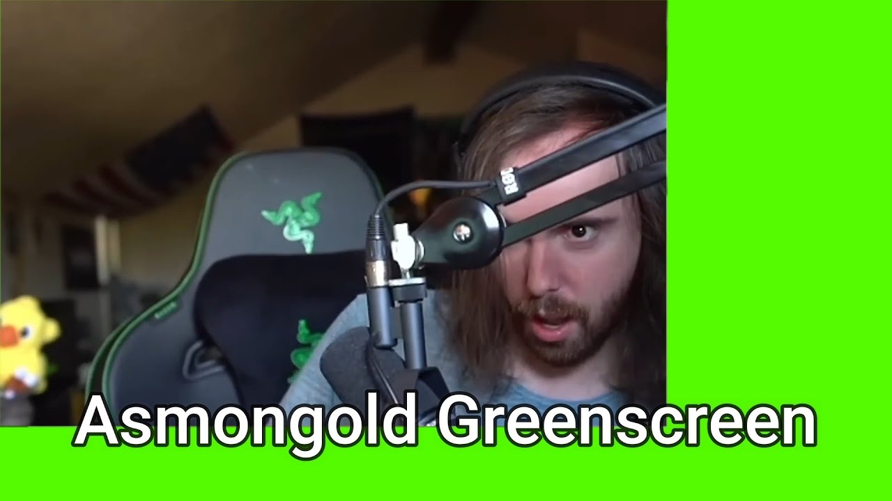 Asmongold Green Screen "Where is the food???" - YouTube